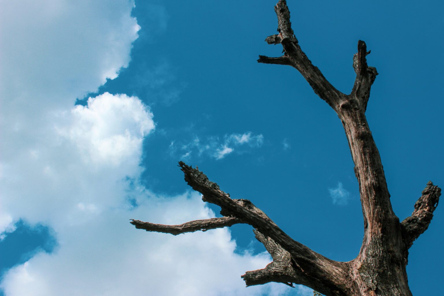 9 IFS Exercises for Anxiety: Building Inner Safety and Calm - Inner ...